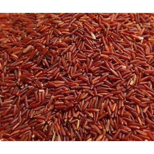 Red Rice - The Knowledge Library